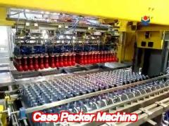 high precision  sprocket type turbine packing machine carton case packer yqzxl-36/72/90