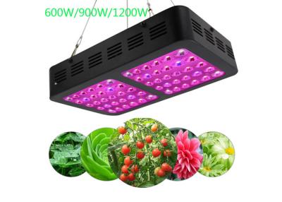 China Mirrors Led Grow Lights 1200 Watt 300*195*60mm Black Housing High Efficiency for sale