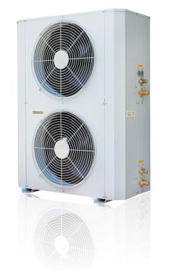 Cina acqua calda fredda/di 11.5kW ha integrato l'unità modulare della pompa di calore del refrigeratore raffreddata aria R22 in vendita