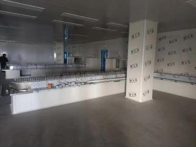 Cina Migliorare efficacemente l'efficienza della produzione, efficiente linea di verniciatura intelligente automatica a spruzzo solo in vendita