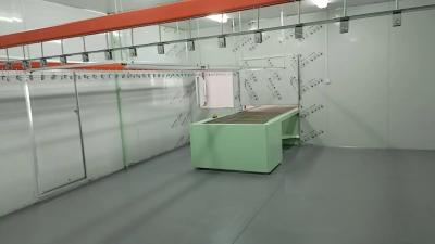 China Heavy-Duty 6-Axis Smart Painting Robot (120kg - 200kg Payload) for sale