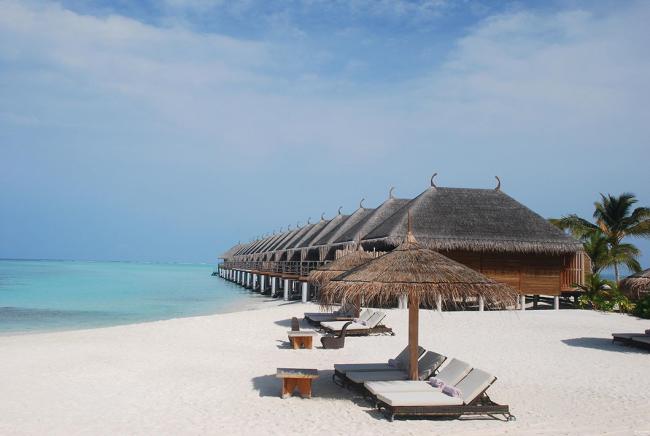 Waterproof Thatched Roofing Material, Synthetic Simulation Thatch Roof for Beach