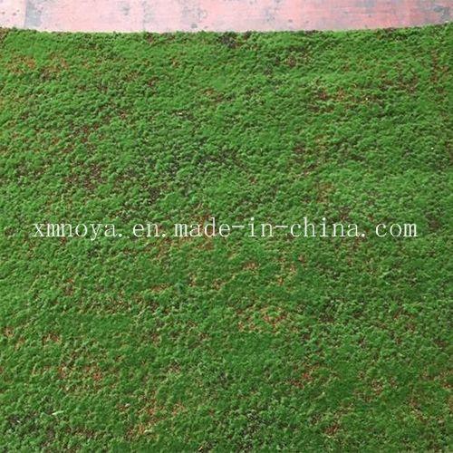 Cheap Price High Quality Artificial Gress Decorative Moss for Sale