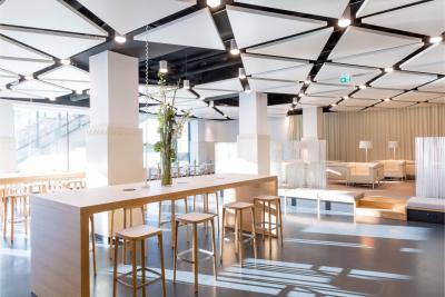Cina Tavola di soffitto in fibra di vetro per ufficio con decorazione nera 600*600mm o 600*1200mm in vendita