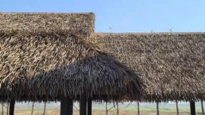 China Outdoor Decoration Thatch Roofing Tile with Never Fade Feature and Long Lifespan for sale