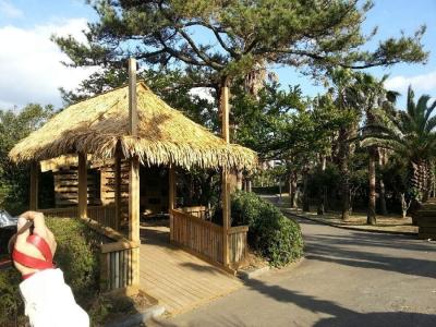 China Customized Grey Synthetic Thatch Roof Design for Garden/Seaside Bars and Customized for sale