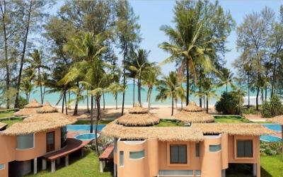 China Artificial Synthetic Roofing Thatch Plain Thatched Cottages for Your Requirements for sale