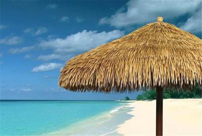China Fireproof Original Super Long Lifespan Synthetic Artificial Straw Thatch at Best for sale