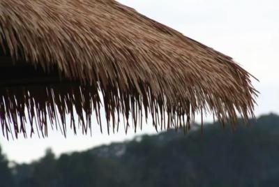 China Multifunctional Thatched Roof Gazebo for Roof Package Size 60.00cm * 55.00cm * 10.00cm for sale