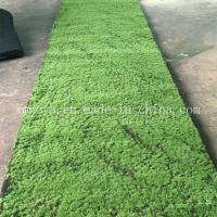 China Customized Artificial Moss for Kindergarten Backyard Park Landscaping Customized Size for sale