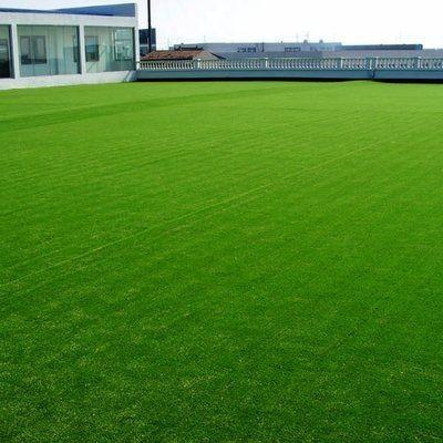 Quality Best Synthetic Grass for Outside Floor Decoration NYG002 High Density 14700tufs for sale