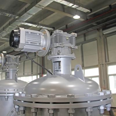 Cina Customized Automatic Backwash Water Filters industry water filter housing in vendita
