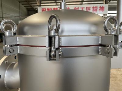 Cina Convenient Industrial Water Filtering Single Bag Or Multi-bag in vendita