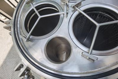 Cina Durable Industrial Cartridge Filters for High Temperature Environments with Long Life in vendita