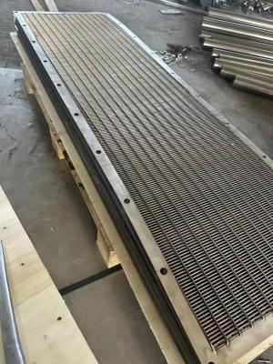 Cina Polishing Sieve Bend Screen With Aperture 0.5mm-2mm For Filtration in vendita