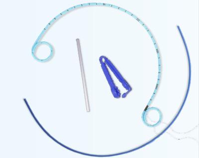 Cina Stent ureterale medico 220mm del doppio J di TPU in vendita