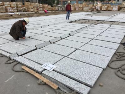 China 2cm 3cm 5cm flamed pauline grey granite tiles for sale