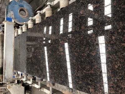 China india tan brown granite slab for sale