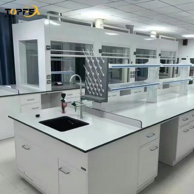 China Low Maintenance and Easy Installation Steel Fume Hood for Effective Air Extraction for sale