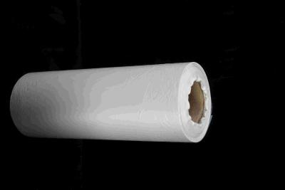 Cina Le borse di caffè restringono il film biodegradabile di PLA 25 micron in vendita
