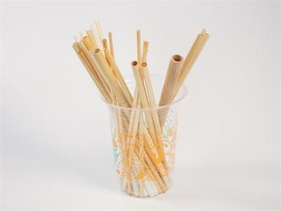 Cina 5 a 11mm Reed Drinking Wheat Straw Sustainable non di plastica in vendita