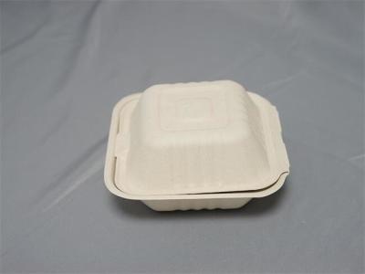 Cina 6
