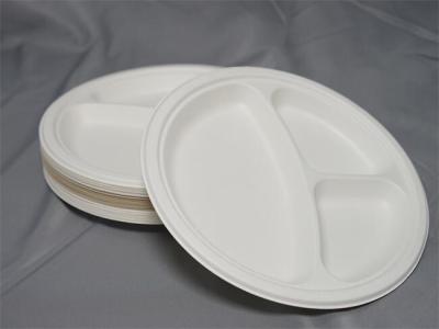 Cina 9