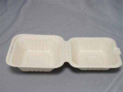 Cina 6