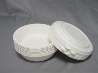 China 750ml Biodegradable Sugarcane Bowl for sale