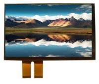 China 10.1 Inch LVDS Interface Monochrome LCD Screen Module 1280x800 IPS Display for sale