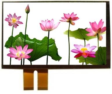 Cina Pannello resistente 720x1440 a 6 pollici del touch screen di IPS TFT LCD in vendita