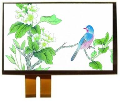 Cina Benvenuto a 6 pollici del ODM dell'OEM dell'esposizione LCD 720x1440 IPS dell'interfaccia di MIPI DSI in vendita