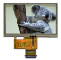 China 6 Inch IPS LCD TFT Touch Screen 720x1440 MIPI Interface Display for sale