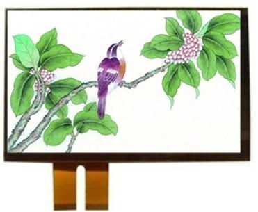 Cina 800*480 ST7262 16/18/24 ha morso impiegati di funzionamento TFT LCD dello schermo a 5 pollici di RGB gli ampi in vendita