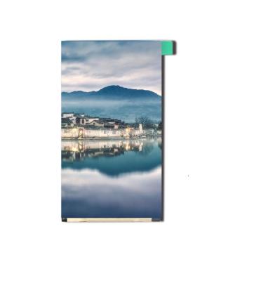 Cina High Performance 5 Inch VA LCD Display 800*480 With MIPI Interface in vendita