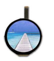 China 2.1 Inch Round TFT Display 800x1280 MIPI Interface Full Viewing Angle IPS LCD for sale
