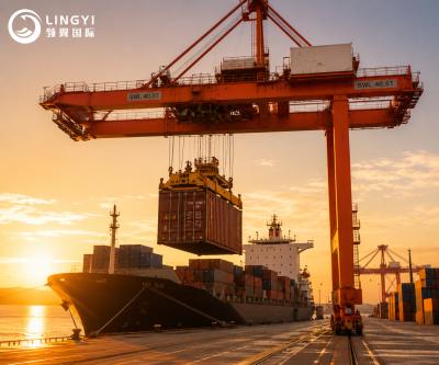 China China to Netherlands FCL Freight Service | Rotterdam Container Shipping | DDP Service for sale