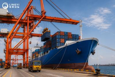 China Fast Safe Ocean Freight Services from China to Canada with Global Logistics Support for sale