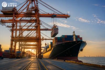 China Full Container Load FCL Sea Freight Service from China to Canada with Competitive Rates for sale