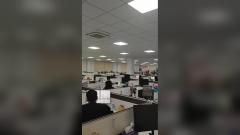 Every International Shipment Is Managed by Professional Teams