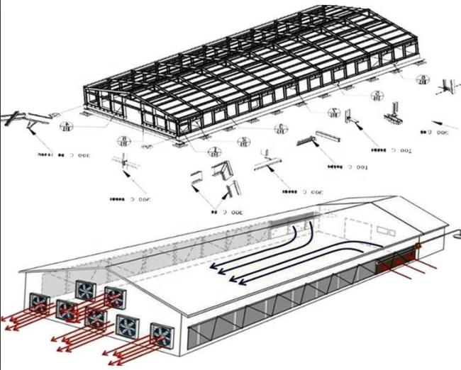 Steel Structural Fabrication Prefabricated Steel Structure Cowshed Dairy Cow Cattle Farm Shed