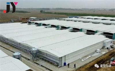 Cina JY47 Q235 strutturale in acciaio al carbonio telaio portale prefabbricato allevamento di polli a Shandong in vendita