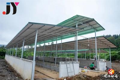 China Affordable Fan-Cooled H-Section Steel Prefabricated Cow Shed Structures for Dairy Barn for sale