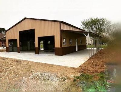 Cina 20-30m2 Easy Assemble Carports in metallo Shed Roof Design Strutturale Steel Car Garage in vendita