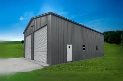 Cina 20-30m2 Easy Assemble Carports in metallo Shed Roof Design Strutturale Steel Car Garage in vendita