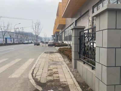 Cina 50 anni di vita struttura in acciaio laminata a caldo in vendita