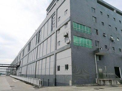 Cina 50 anni di vita struttura in acciaio laminata a caldo in vendita