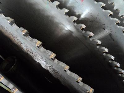 China 1600mm Carbide Tipped Saw Blade 140 Teeth Alloy for Precise Cuts for sale