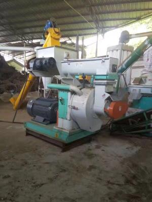 Cina 380V di tensione di plastica di frantumaggio di legno di frantumaggio di martello per la frantumazione di bottiglie per animali domestici in vendita