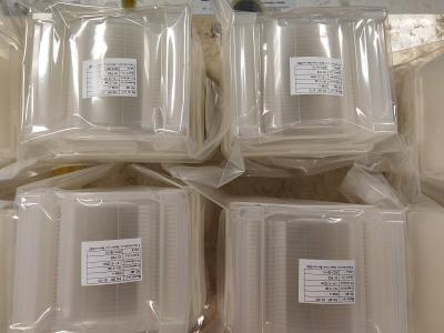 중국 융합 된 쿼츠 웨이퍼 첨단 디자인 및 MEMS 장치에 대한 최고의 선택 판매용